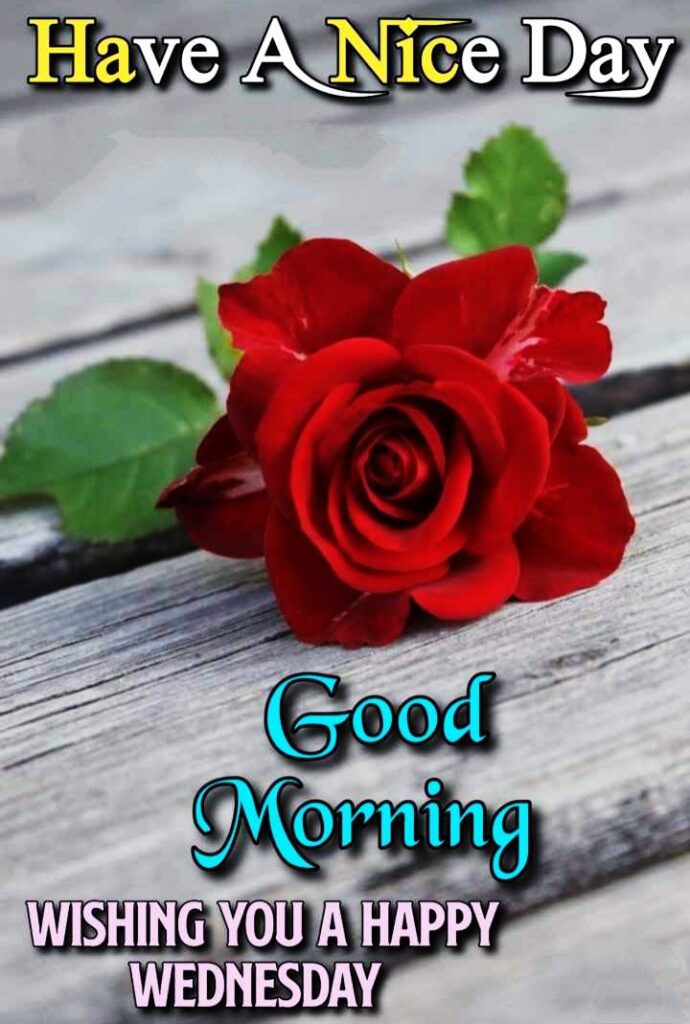 Best 500+ Wednesday Good Morning Images ( July 2025 )