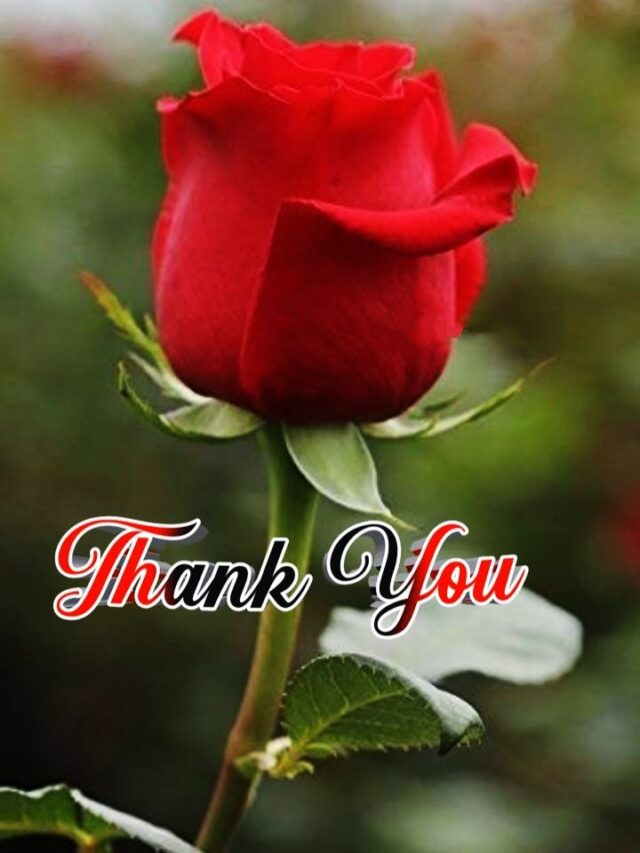 Best 60+ Thank You Images, Photos, Pics, Pictures, Wallpaper » Mixing ...