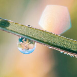 Best 500+ Fairy Profile Picture » Mixing Images