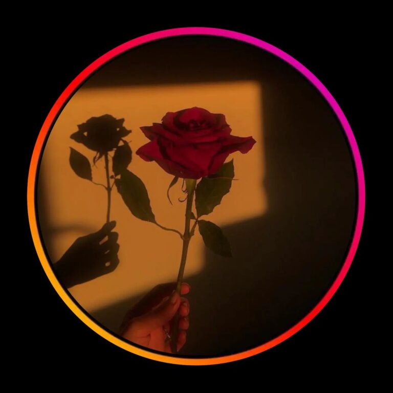 [50+] New and Stylish Attractive WhatsApp DP Ideas to Stand Out ...