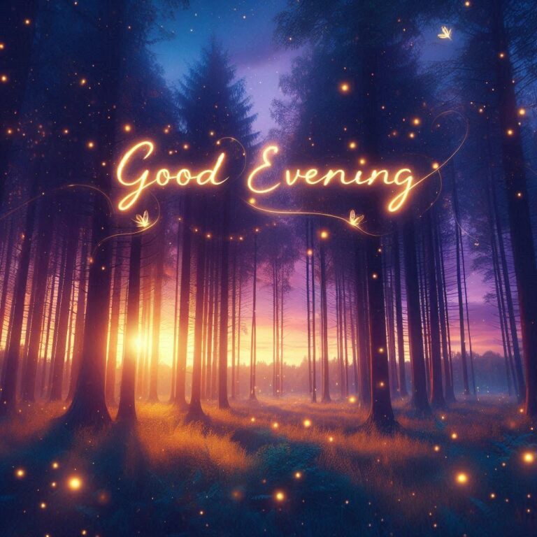 Download the Best Good Evening Pic to Share with Friends and Family ...
